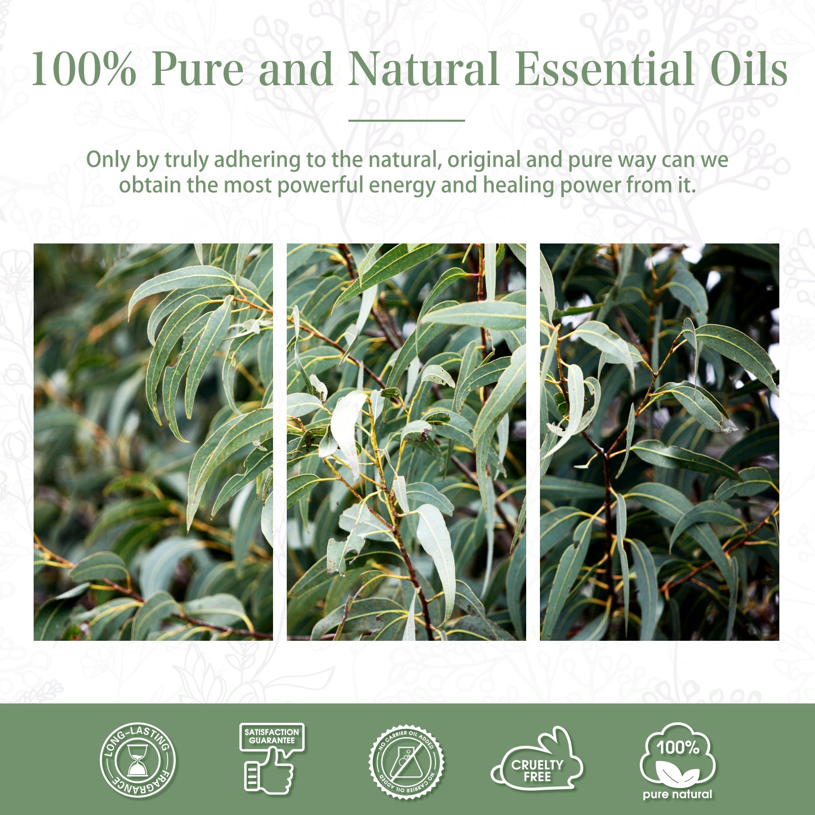 Eucalyptus Essential Oil Benefit | 100% Pure and Natural | PHATOIL