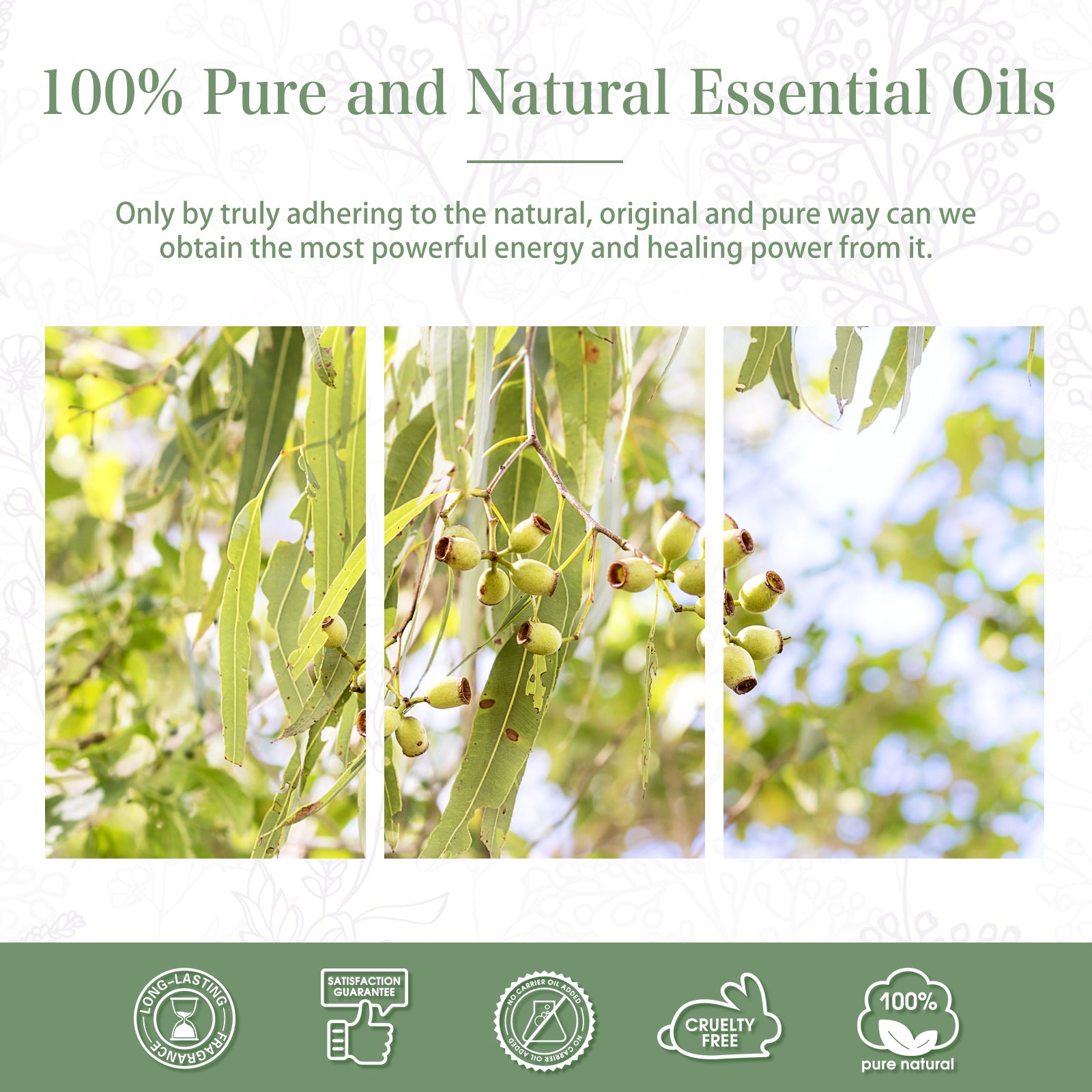 Lemon Eucalyptus Essential Oil Benefit | 100% Pure and Natural | PHATOIL